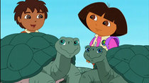 Go, Diego, Go! episodes (TV Series 2005 - 2011)