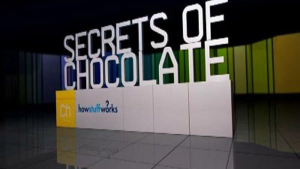 How Stuff Works Season 2 Episode 3