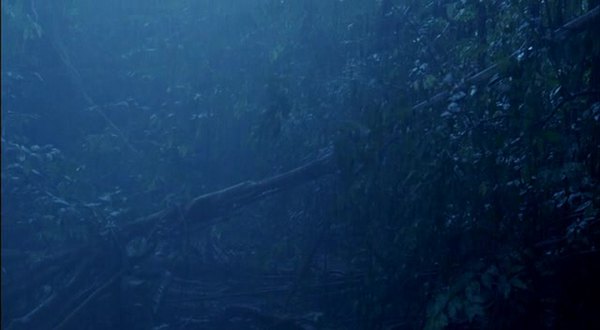 Lost Season 1 Episode 1 Recap