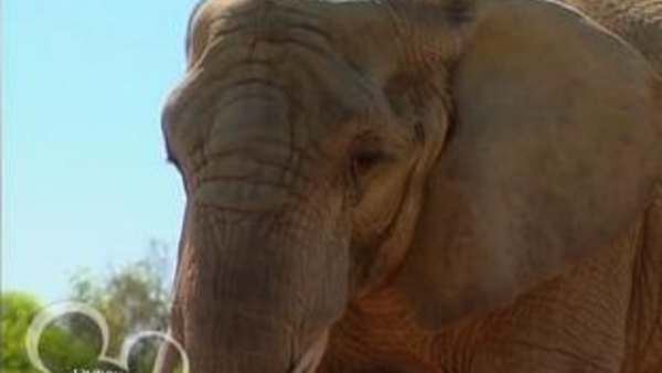 This is Daniel Cook Season 1 Episode 12