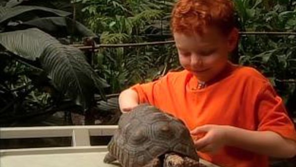 This is Daniel Cook Season 1 Episode 19