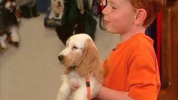 This is Daniel Cook Season 1 Episode 32