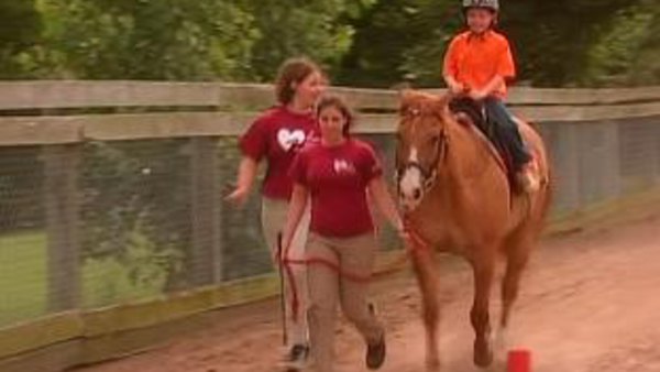 This is Daniel Cook Season 1 Episode 50