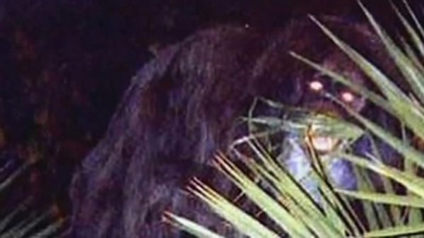 MonsterQuest Season 1 Episode 9