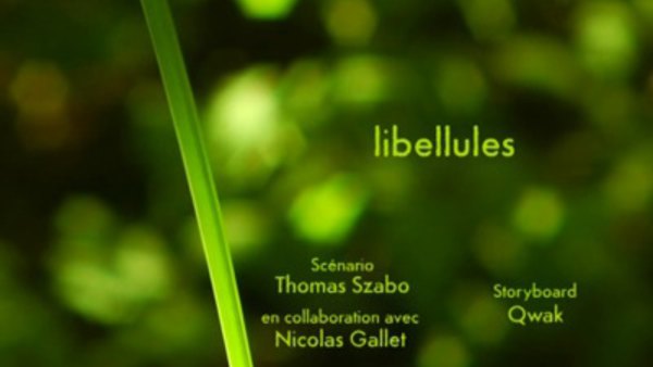 Minuscule Season 1 Episode 21