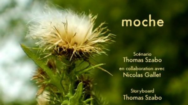 Minuscule Season 1 Episode 50