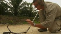 Austin Stevens - Snakemaster Season 1 Episode 9