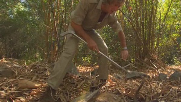 Austin Stevens - Snakemaster Season 1 Episode 8