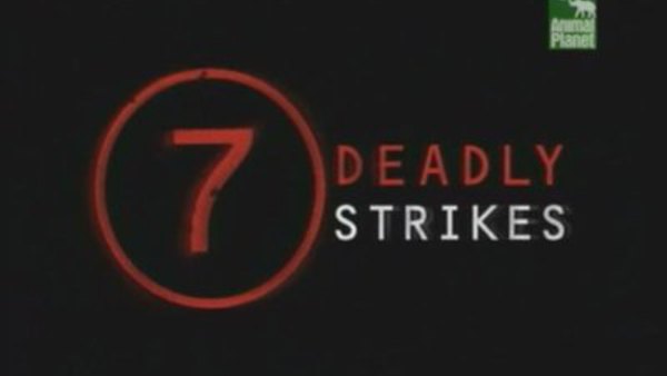 Austin Stevens - Snakemaster Season 1 Episode 9