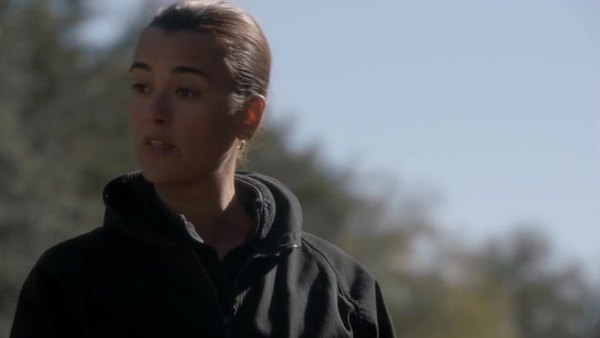 Screencaps of NCIS Season 10 Episode 15