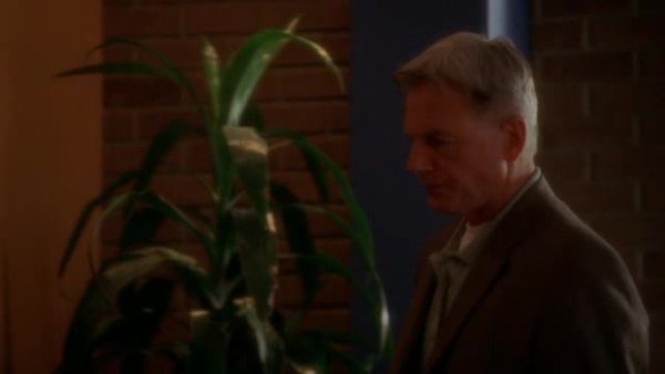 NCIS Season 5 Episode 6 Recap and Links