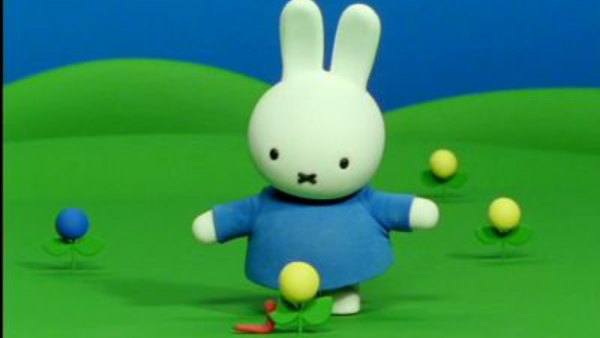 Miffy and Friends Season 1 Episode 31