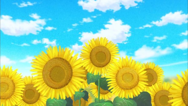 One Piece Episode 651 info and links where to watch