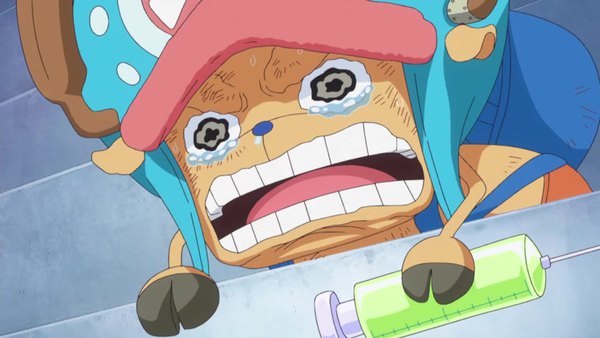 Screencaps of One Piece Episode 614