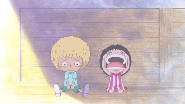 Screencaps of One Piece Episode 612