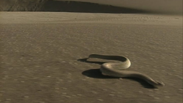 The Jeff Corwin Experience Season 1 Episode 15