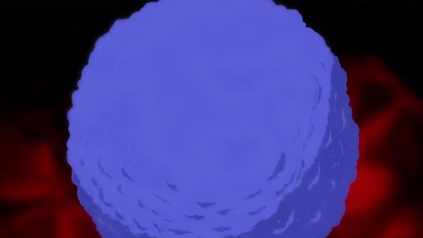 Screencaps of One Piece Episode 602