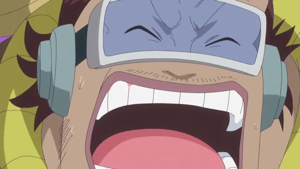 Screencaps of One Piece Episode 602