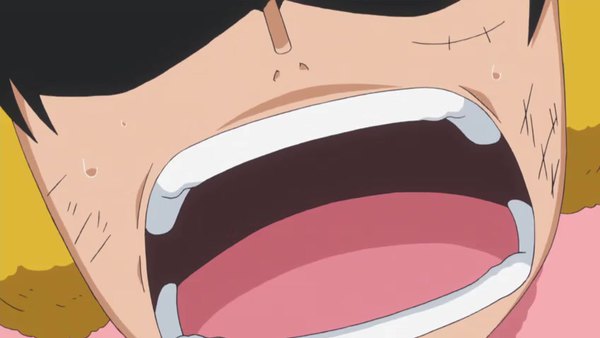 One Piece Episode 597 - Watch One Piece E597 Online