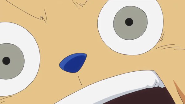 One Piece Episode 575 info and links where to watch