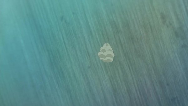 One Piece Episode 562 info and links where to watch