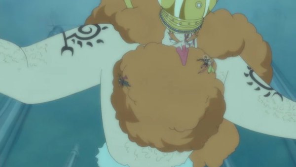 One Piece Episode 538 info and links where to watch