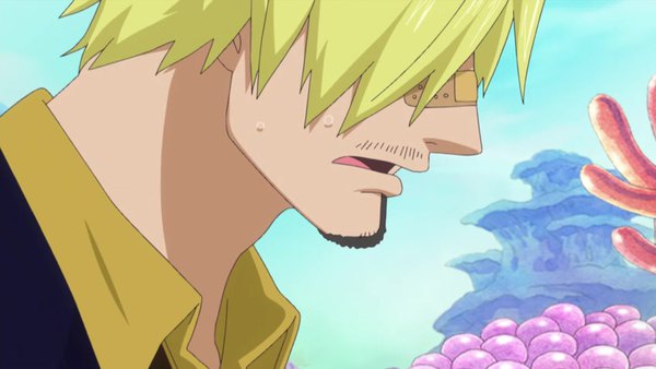 One Piece Episode 537 info and links where to watch