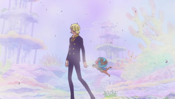 One Piece Episode 537 info and links where to watch