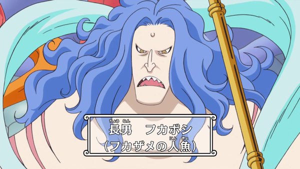 One Piece Episode 528 info and links where to watch