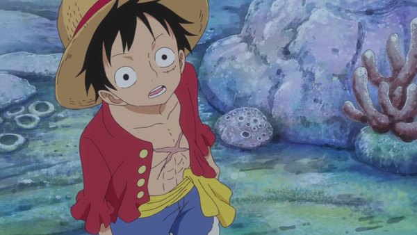One Piece Episode 528 info and links where to watch