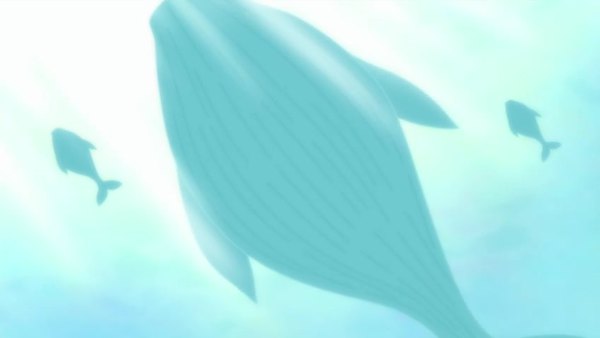 One Piece Episode 526 info and links where to watch