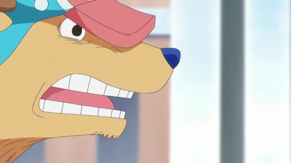 One Piece Episode 519 info and links where to watch