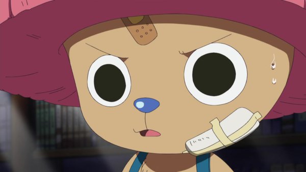 One Piece Episode 513 - Watch One Piece E513 Online