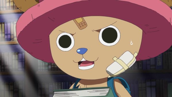 One Piece Episode 513 info and links where to watch