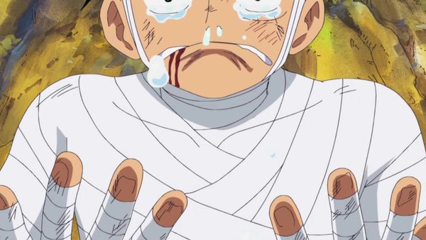 One Piece Episode 511 info and links where to watch