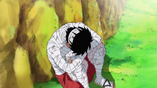 One Piece Episode 506 info and links where to watch