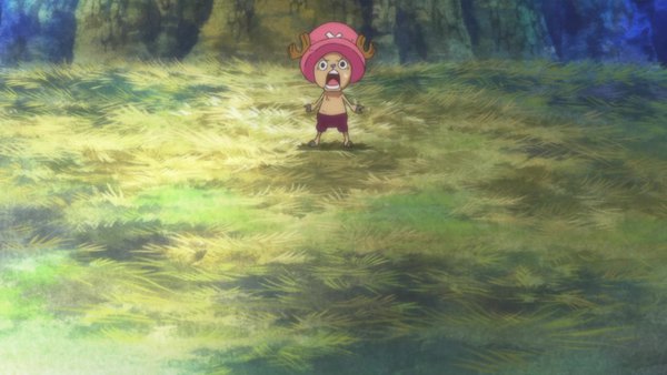 One Piece Episode 506 info and links where to watch