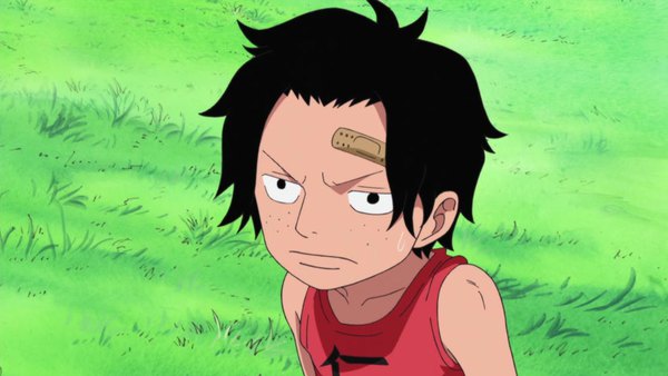 One Piece Episode 505 info and links where to watch