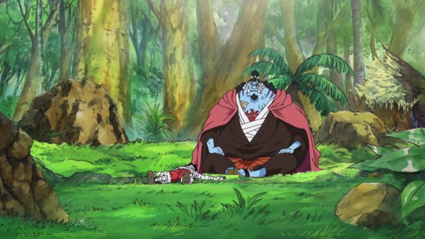 One Piece Episode 505 info and links where to watch