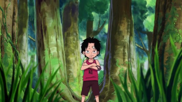 One Piece Episode 504 info and links where to watch