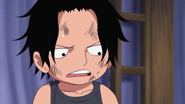 One Piece Episode 503 info and links where to watch