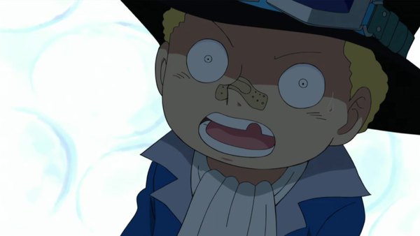 One Piece Episode 501 info and links where to watch