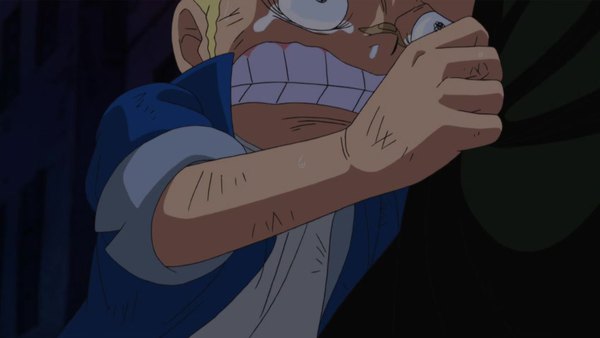 One Piece Episode 501 info and links where to watch