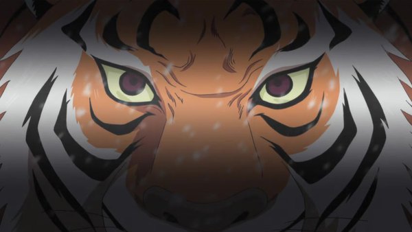 One Piece Episode 498 info and links where to watch