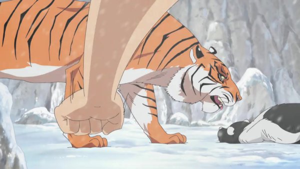 One Piece Episode 498 info and links where to watch