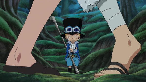 One Piece Episode 495 info and links where to watch