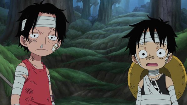 Screenshots of One Piece Episode 495
