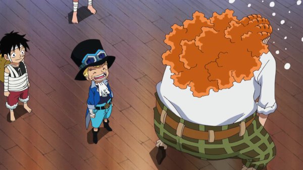 One Piece Episode 495 info and links where to watch
