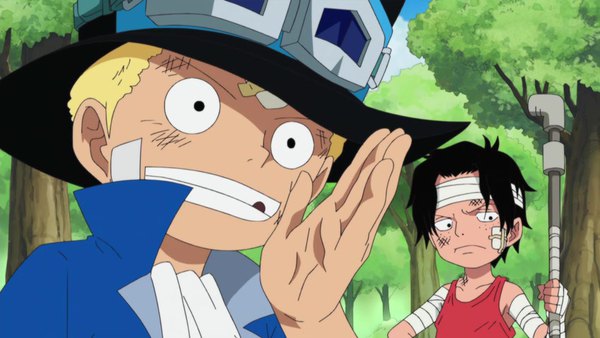 One Piece Episode 495 info and links where to watch