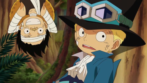 One Piece Episode 495 info and links where to watch